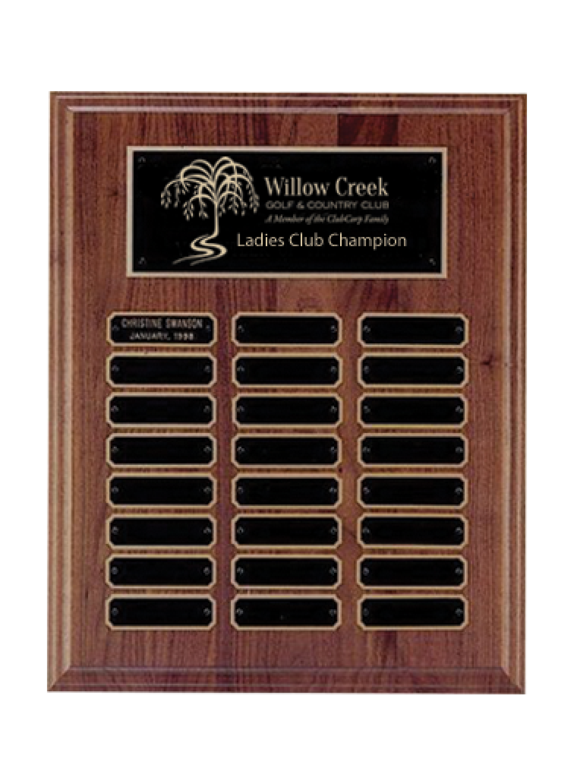 Custom Award Plaque Tournament Solutions